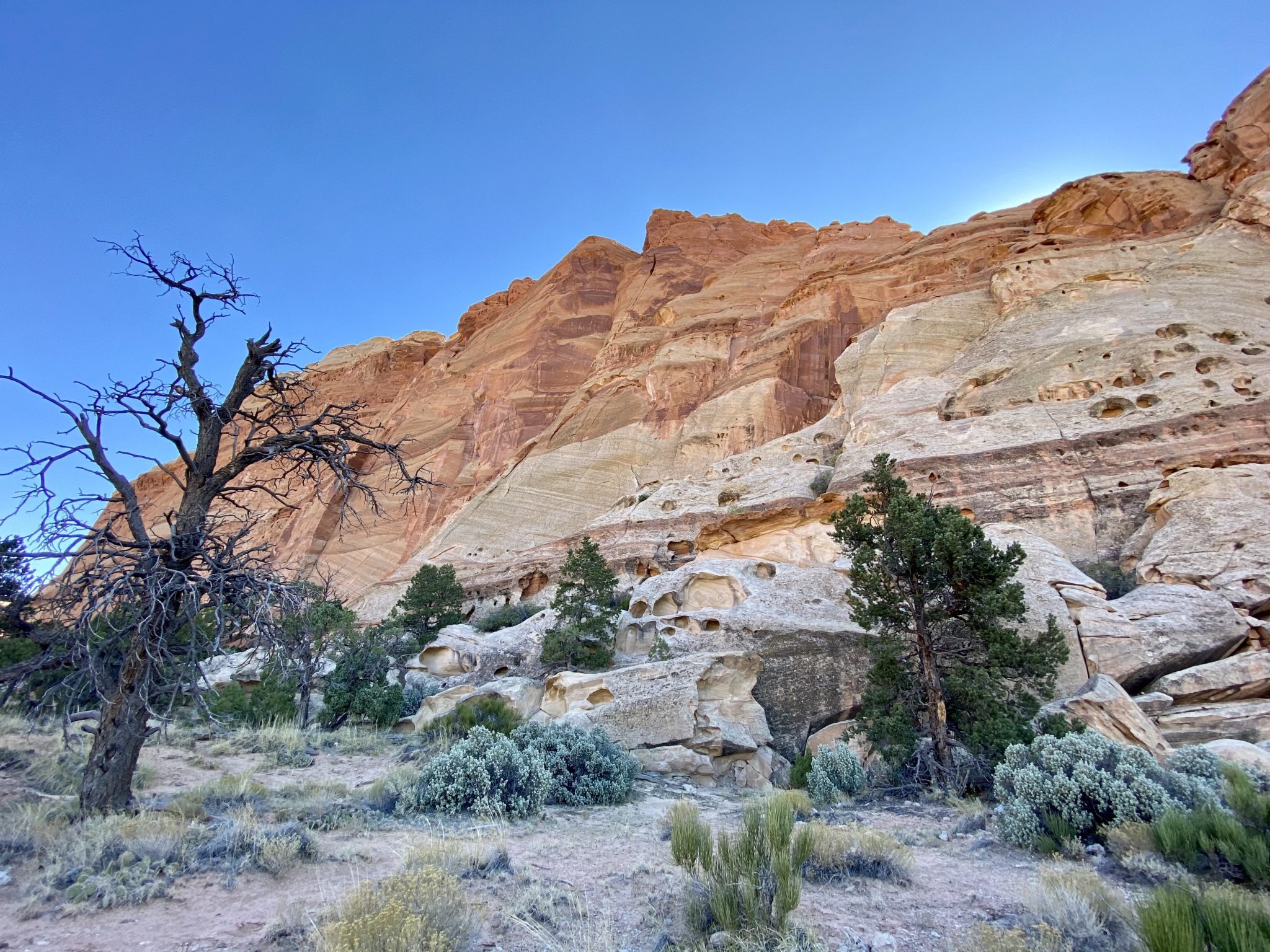 Post #64: Autumn in Utah – Woods and Water